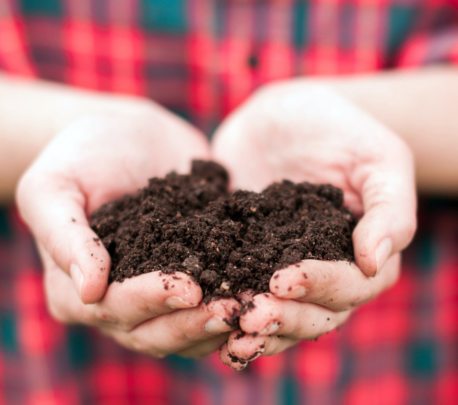 Kona Coffee: Terroir and Taste | Kona Earth Coffee